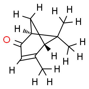 Verbenone - CAS:1196-01-6 - Naturewill biotechnology Co., Ltd.