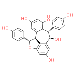 Ampelopsin A - CAS:130608-11-6 - Naturewill biotechnology Co., Ltd.