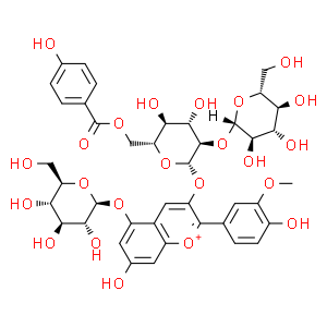Peonidin-3-O-P-Hydroxybenzoyl-Sophoroside-5-O-glucoside chloride - CAS ...