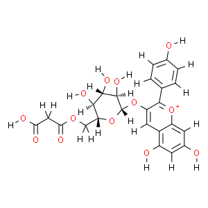 Pelargonidin 3-O-6-O-malonyl]-glucoside chloride - CAS:165070-68-8 ...