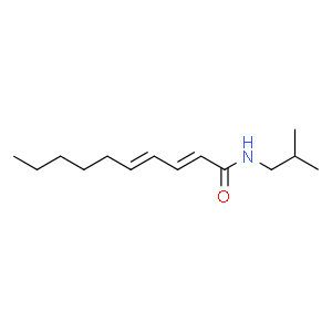 Pellitorine - CAS:18836-52-7 - Naturewill biotechnology Co., Ltd.