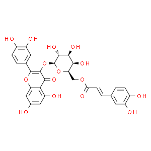 Quercetin 3-O-（6′′-caffeoyl）-β-D-galactopyranoside - CAS:316354-12-8 ...