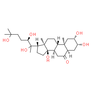 14-Hydroxylated brassinosteroid - CAS:457603-63-3 - Naturewill ...