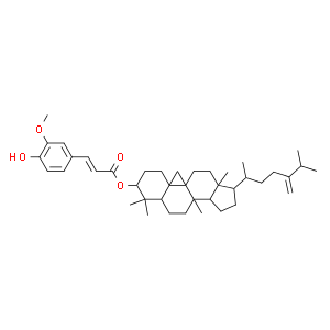 24-Methylene cycloartanyl ferulate - CAS:469-36-3 - Naturewill ...
