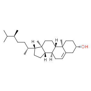 Campesterol - CAS:474-62-4 - Naturewill biotechnology Co., Ltd.