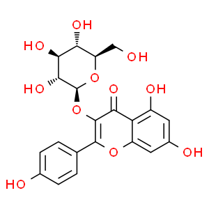 Astragalin - CAS:480-10-4 - Naturewill biotechnology Co., Ltd.