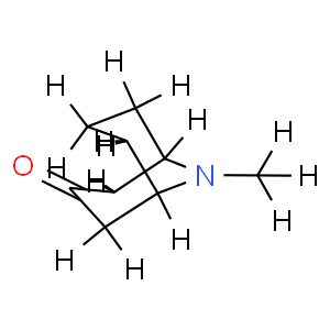 Pseudopelletierine - CAS:552-70-5 - Naturewill biotechnology Co., Ltd.