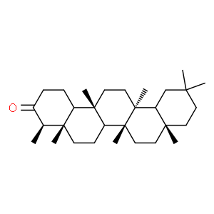 Friedelin - CAS:559-74-0 - Naturewill biotechnology Co., Ltd.