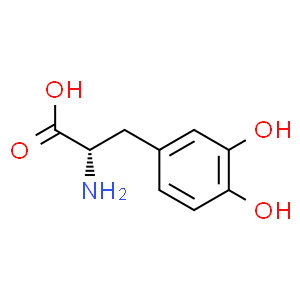 Levodopa - CAS:59-92-7 - Naturewill biotechnology Co., Ltd.