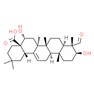 Quillaic acid - CAS:631-01-6 - Naturewill biotechnology Co., Ltd.