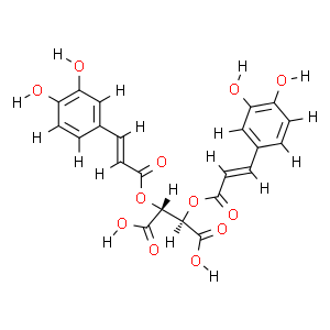 Cichoric acid - CAS:6537-80-0 - Naturewill biotechnology Co., Ltd.