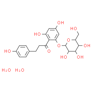 Phlorizin dihydrate - CAS:7061-54-3 - Naturewill biotechnology Co., Ltd.