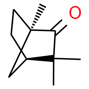 Fenchone - CAS:7787-20-4 - Naturewill biotechnology Co., Ltd.