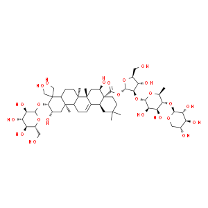 Platycodon、grandiflorum（Jacq.）A.DC. - Naturewill biotechnology Co., Ltd.