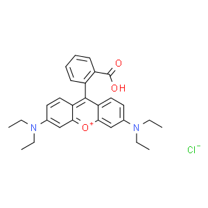 Rhodamine B - CAS:81-88-9 - Naturewill biotechnology Co., Ltd.