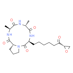 HC Toxin - CAS:83209-65-8 - Naturewill biotechnology Co., Ltd.