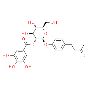 Isolindleyin - CAS:87075-18-1 - Naturewill biotechnology Co., Ltd.