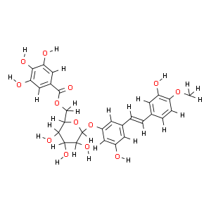 6''-Galloylrhaponticin;Rhaponticin 6''-O-gallate - CAS:94356-23-7 ...
